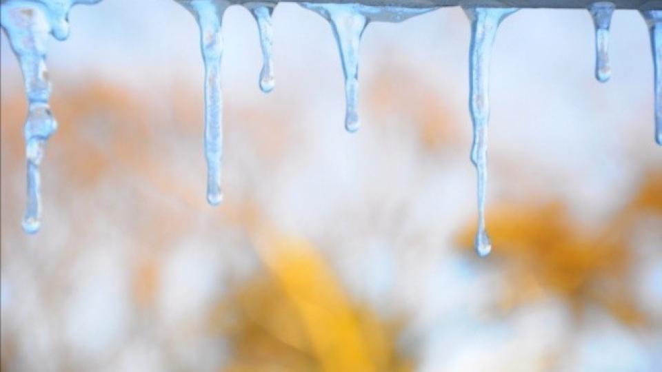 Thaw the 'Frozen Middle' to help implement strategy | Coach Consult